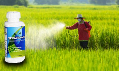 Rcm Id card - rcm identity card , rcm id card benefits, download - JayRcm